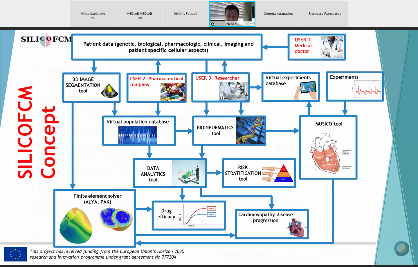 In Silico Clinical Trials Concepts and Adoption (drugs, devices, the ...